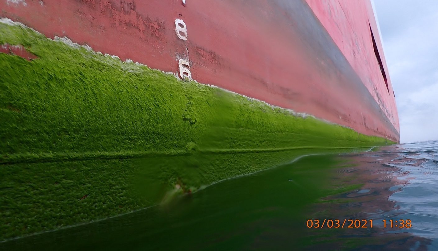Biofouling: Complying with the Guidelines